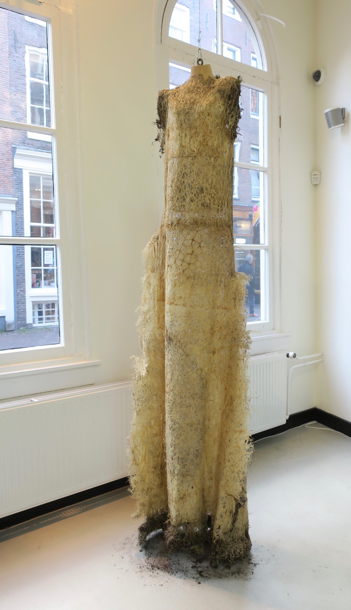 Diana Scherer maakt poëtische weefsels van plantenwortels ⋆ TxP ...