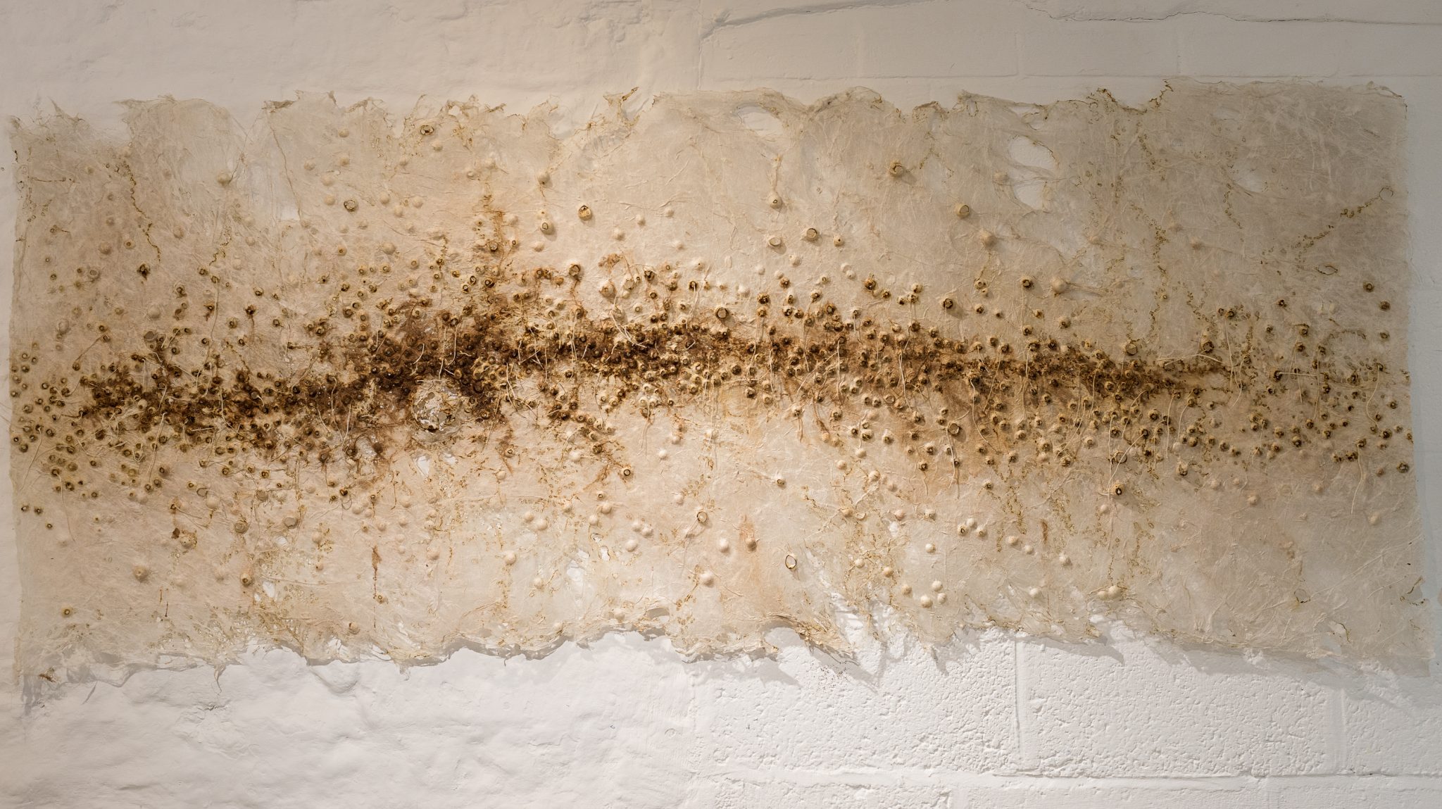 Mandy Coppes-Martin maakt broos werk dat krachtig is ⋆ TxP (Textiel Plus)